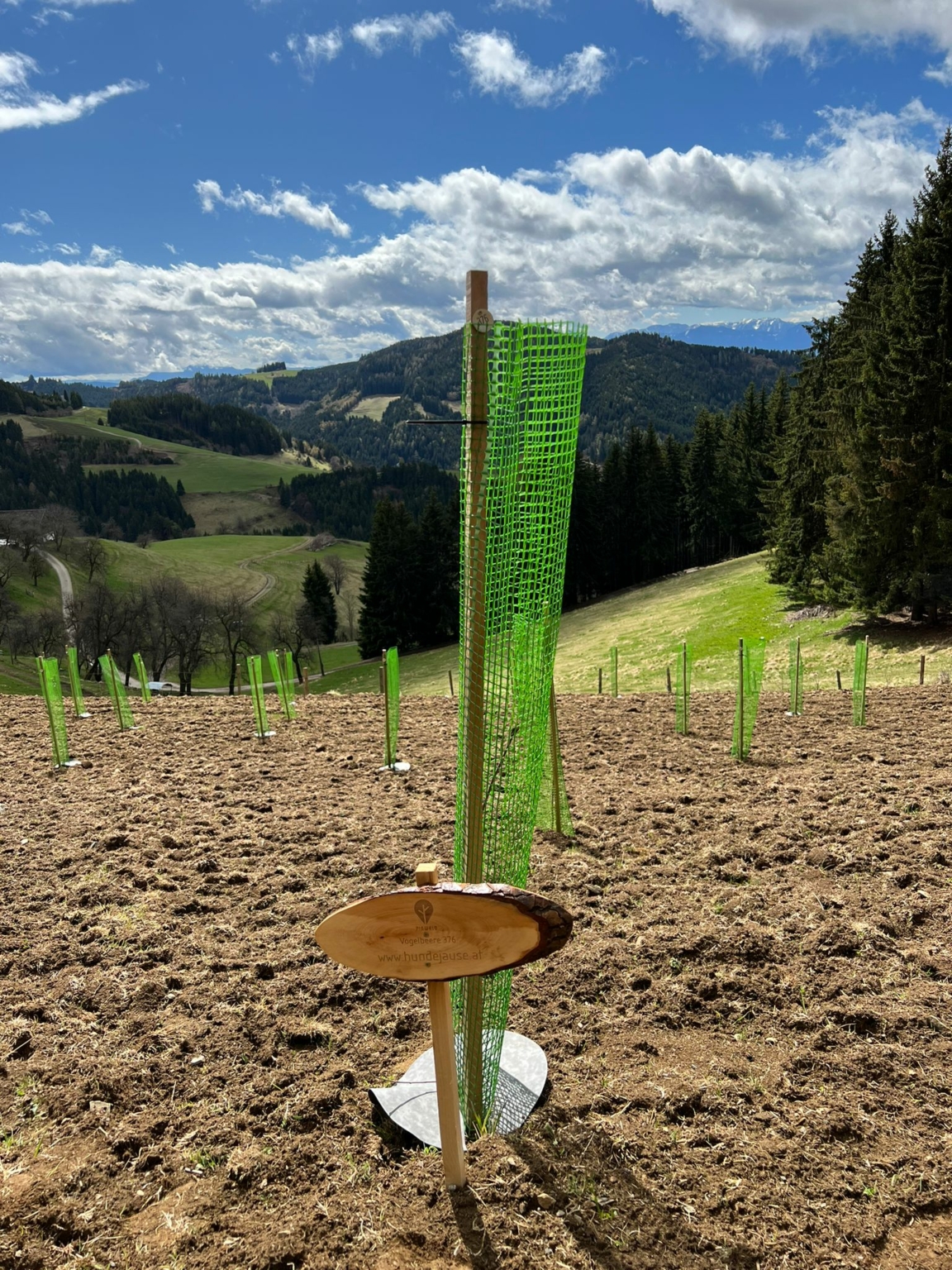 BAM OIDA! - hundejause.at